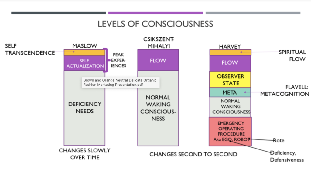 The Future Psychology | The Human Effectiveness Institute